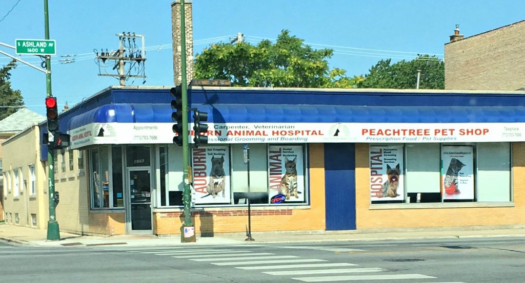 Welcome to Auburn Animal Hospital - Auburn Animal Hospital